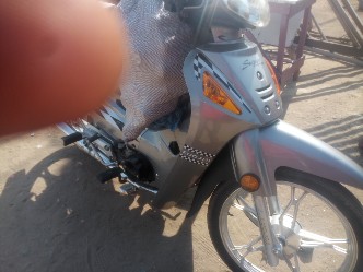 Motos & Scooters Dayang 110 2019 neufs et occasions au Bénin ...