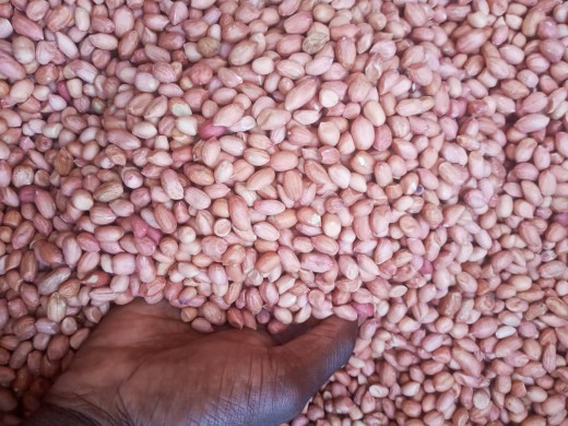 Alimentation Arachide au Sénégal - CoinAfrique Sénégal