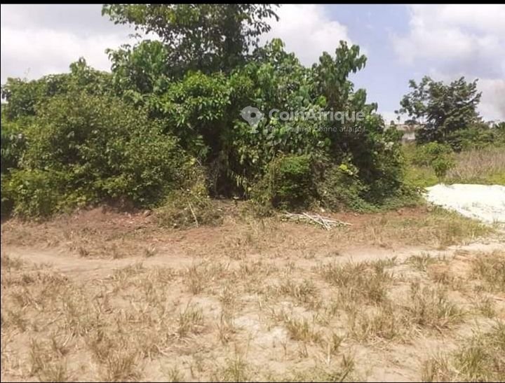 Terrains Vente terrain - Songon adiapoté en Côte d'Ivoire - CoinAfrique ...