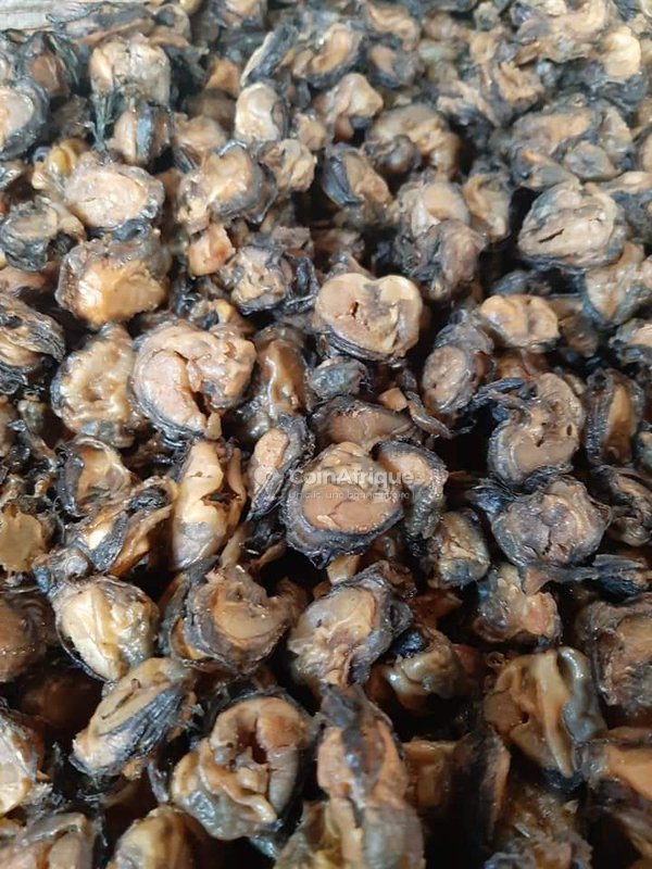 Alimentation Toufa au Sénégal - CoinAfrique Sénégal