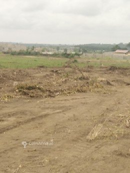 Terrains Vente terrain - Songon en Côte d'Ivoire - CoinAfrique Côte d ...