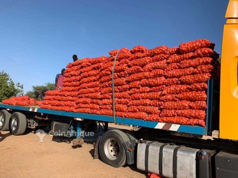 Alimentation Oignons au Sénégal - CoinAfrique Sénégal