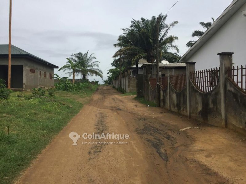 Terrains Vente terrain 2000 m2 - Douala au Cameroun - CoinAfrique Cameroun