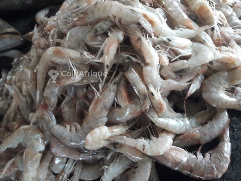 Alimentation Thiof au Sénégal - CoinAfrique Sénégal