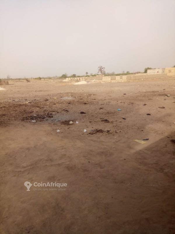 Terrains Vente terrain 300m2 au Sénégal - CoinAfrique Sénégal
