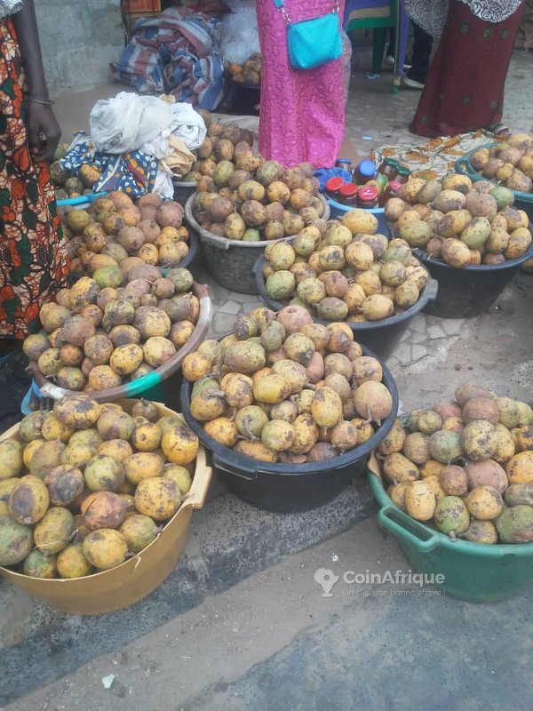 Alimentation Maad au Sénégal - CoinAfrique Sénégal