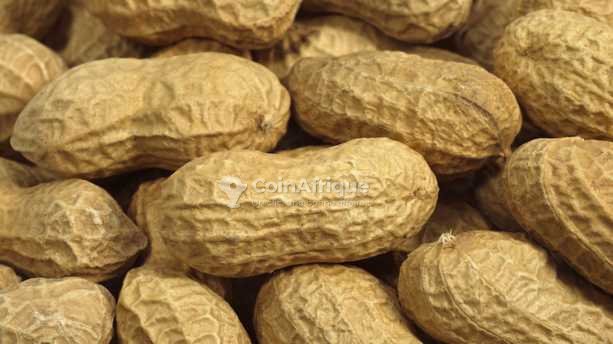Alimentation Arachide en Côte d'Ivoire - CoinAfrique Côte d'Ivoire