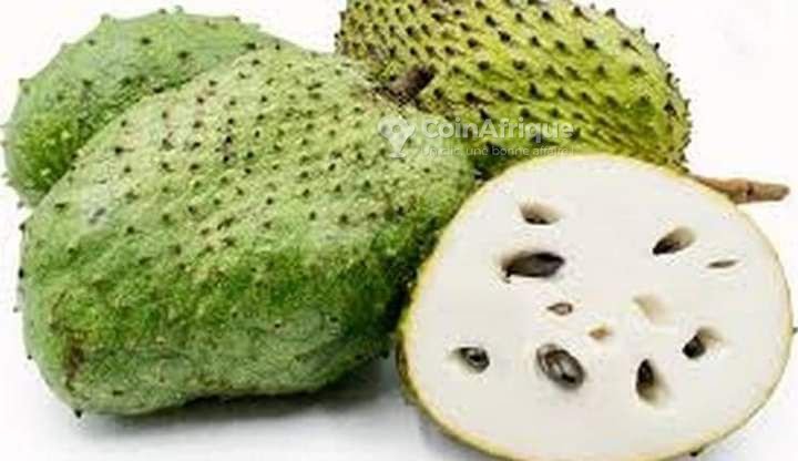 Alimentation Carrosol au Sénégal - CoinAfrique Sénégal