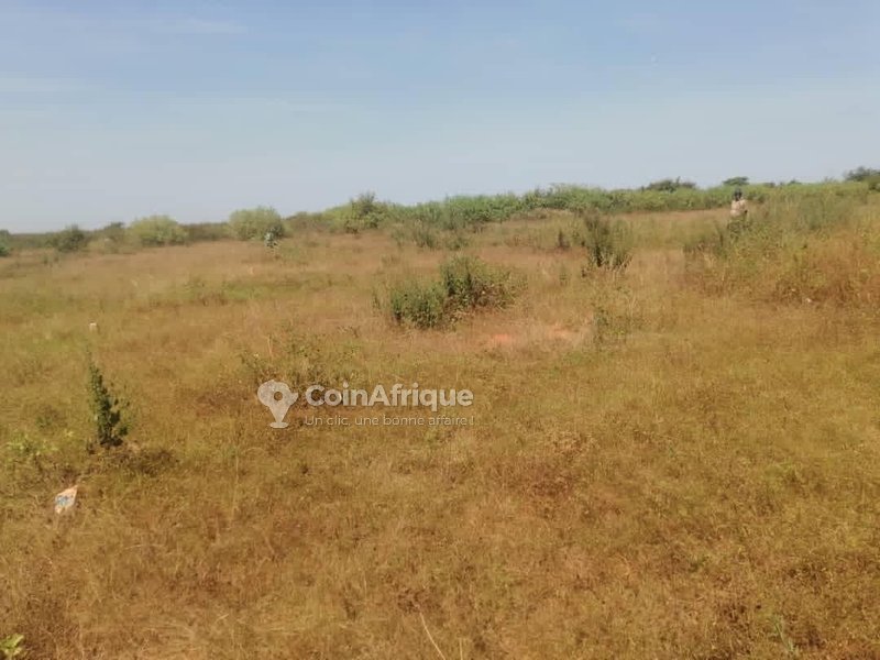 Terrains Terrain -Yenne guedje au Sénégal - CoinAfrique Sénégal