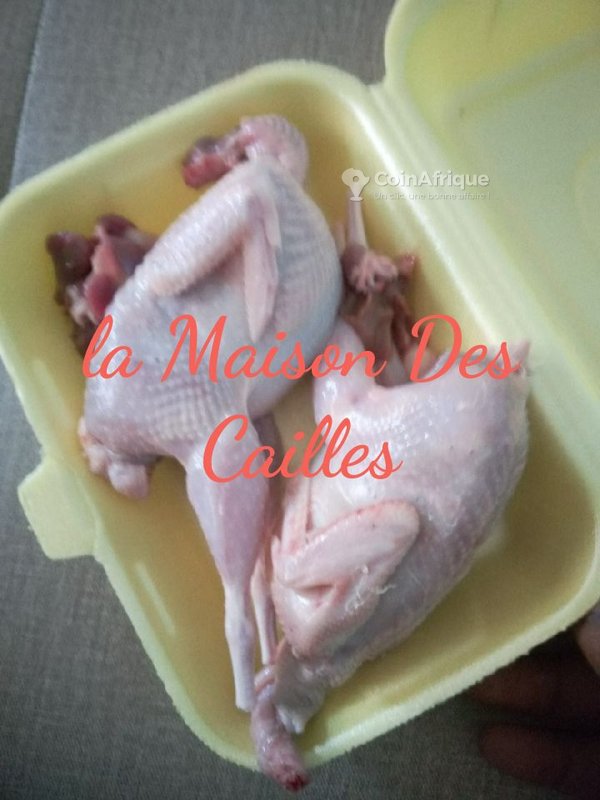 Alimentation Oeufs / viandes de caille au Bénin - CoinAfrique Bénin