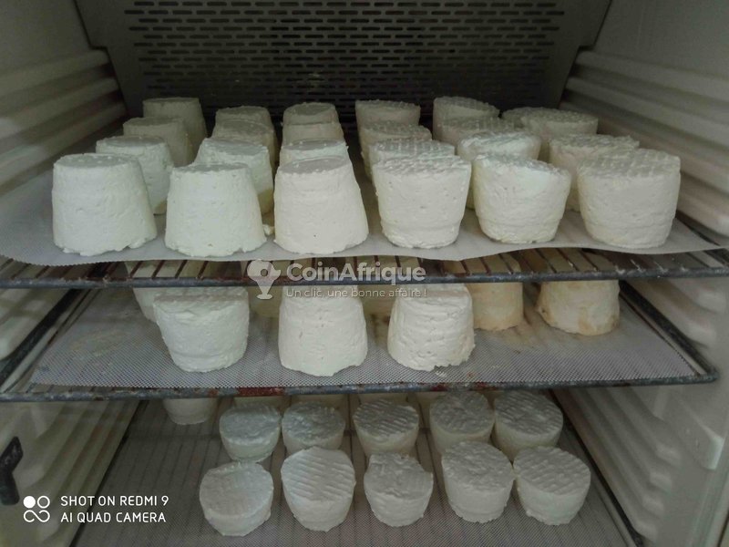 Alimentation Fromage de chèvre au Sénégal - CoinAfrique Sénégal