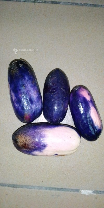 Matériel Agricole Prunier au Cameroun - CoinAfrique Cameroun