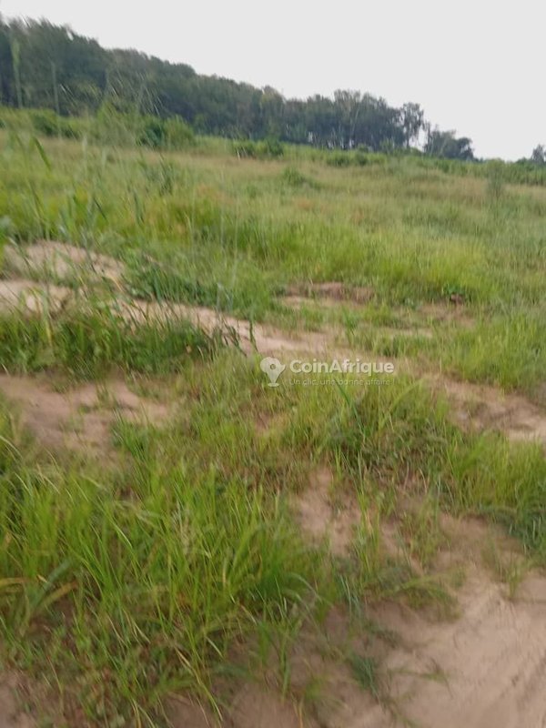 Terrains Vente Terrain - Songon en Côte d'Ivoire - CoinAfrique Côte d ...