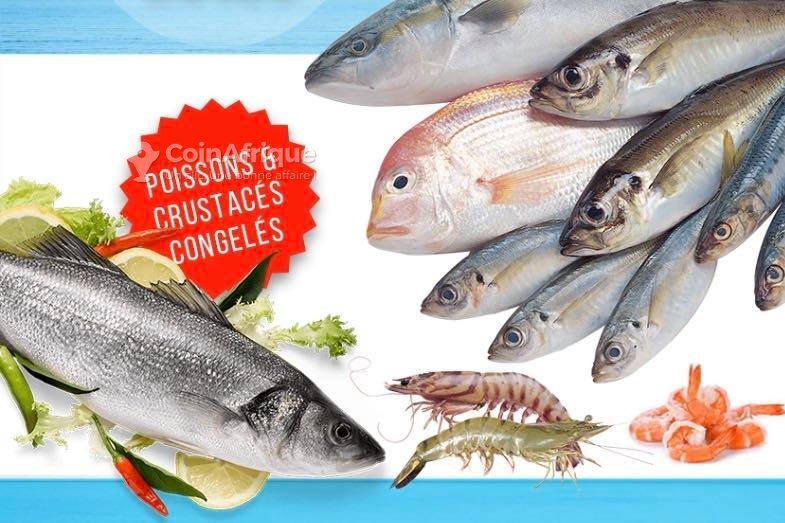 Alimentation Poisson au Sénégal - CoinAfrique Sénégal