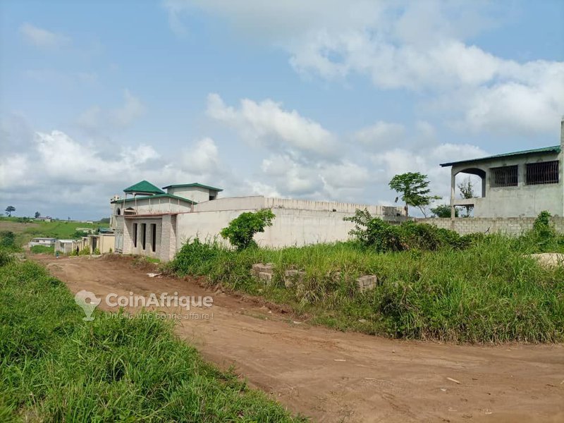 Terrains Terrain 400 m² - Songon en Côte d'Ivoire - CoinAfrique Côte d ...
