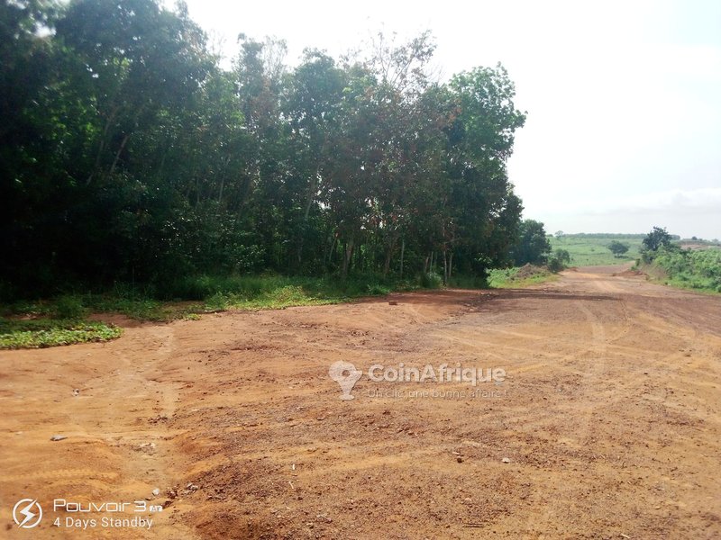 Terrains Vente Terrain 20ha - Songon Kassemble en Côte d'Ivoire ...