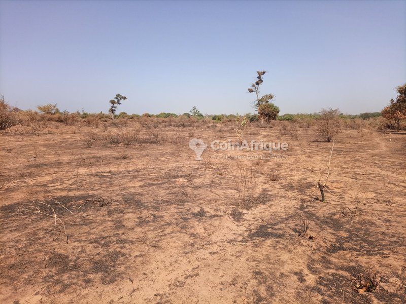 Terrains Vente Terrain au Sénégal - CoinAfrique Sénégal