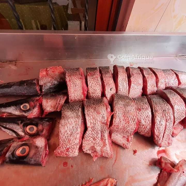 Alimentation Poisson Seud au Sénégal - CoinAfrique Sénégal