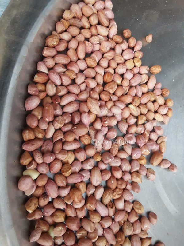 Alimentation Arachide au Sénégal - CoinAfrique Sénégal