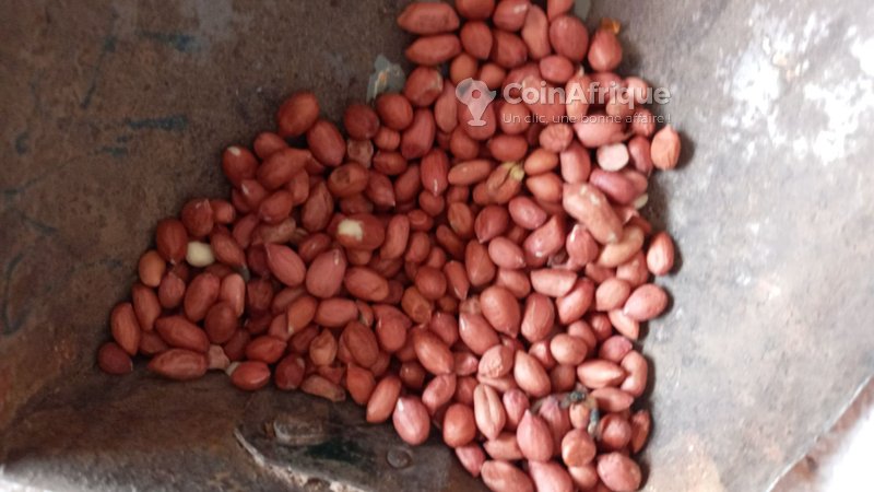 Alimentation Arachide au Sénégal - CoinAfrique Sénégal