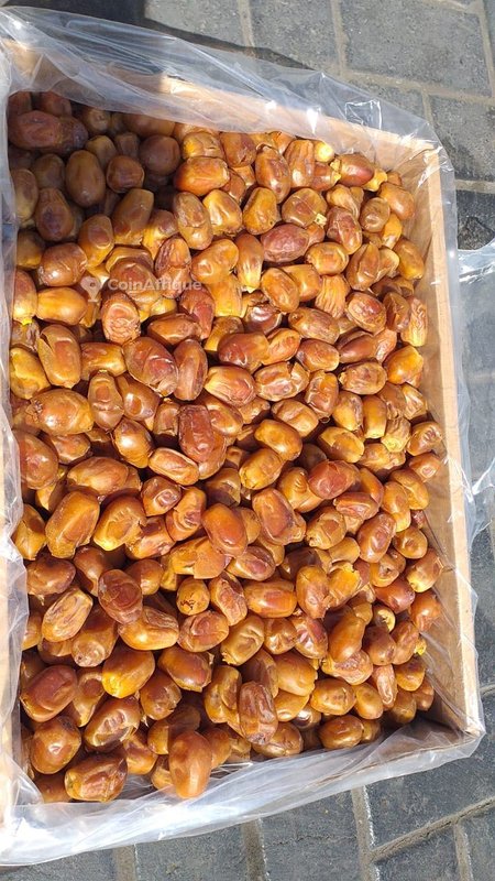 Alimentation Dattes au Sénégal - CoinAfrique Sénégal