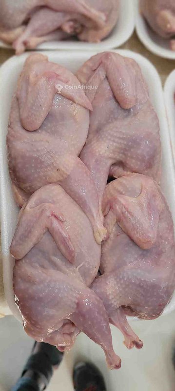 Alimentation Chair de caille au Sénégal - CoinAfrique Sénégal