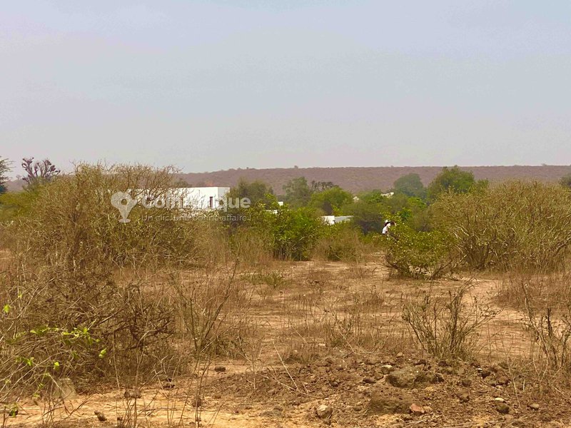 Terrains Terrains 150 m² - Mbour au Sénégal - CoinAfrique Sénégal