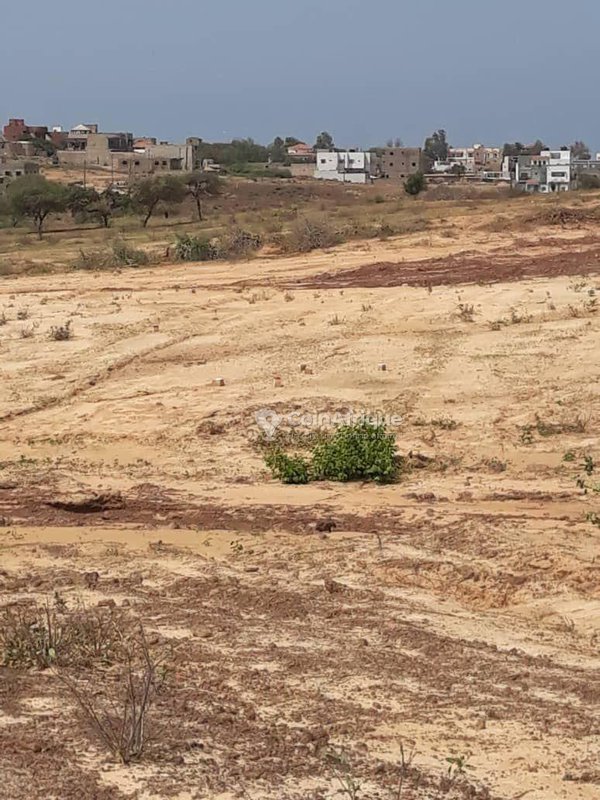 Terrains Terrain 150m` - Dakar au Sénégal - CoinAfrique Sénégal