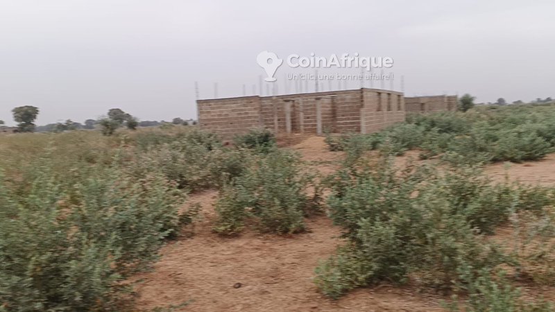 Terrains Terrain 5 ha - Segou Sebougou au Mali - CoinAfrique Mali